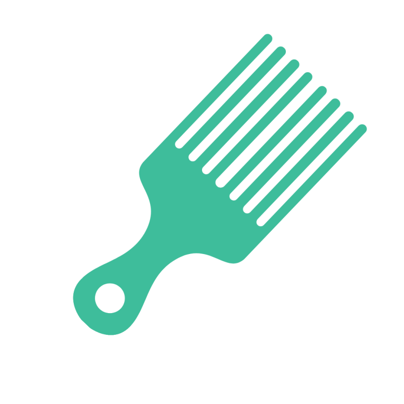 Can you identify each comb? | Interacty project