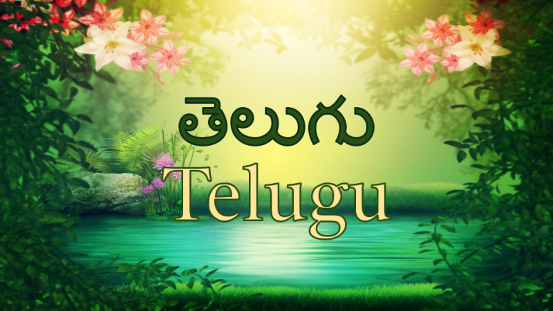 Telugu Treasure Hunt Game | Interacty project