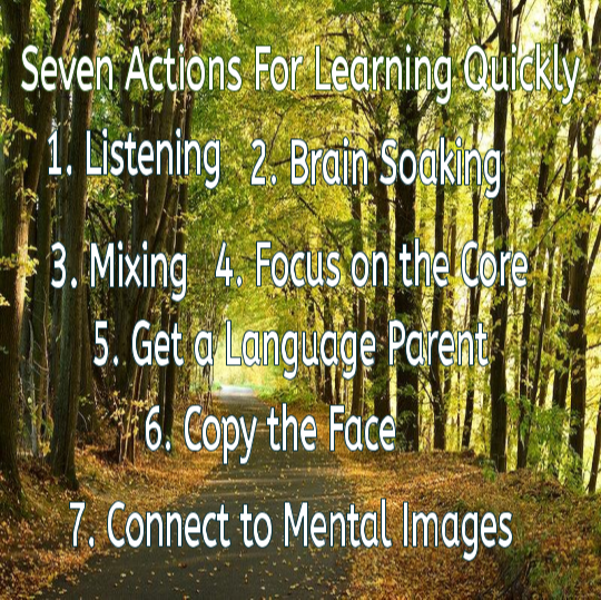 Learning a Language Quickly | Interacty project