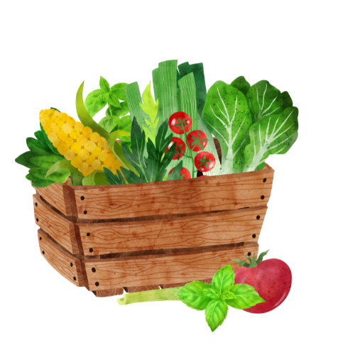 Sustainable food | Interacty project