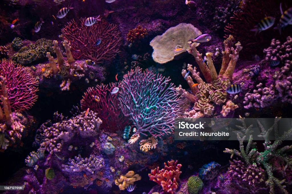 Interacty – engaging content | Interacty project