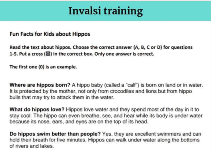 Invalsi training- reading | Interacty project