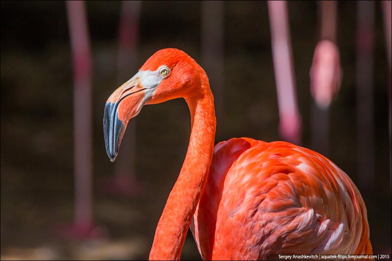 Interacty – engaging content | Interacty project