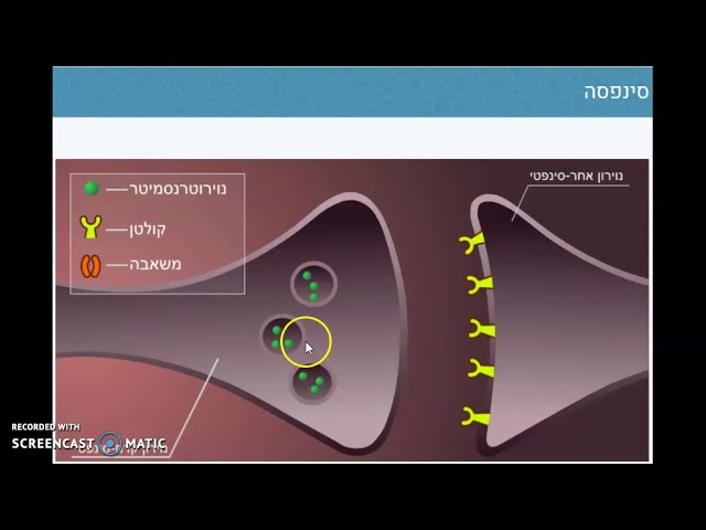 Interacty – engaging content | Interacty project