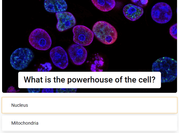 "Bio Genius Quiz" template | Interacty